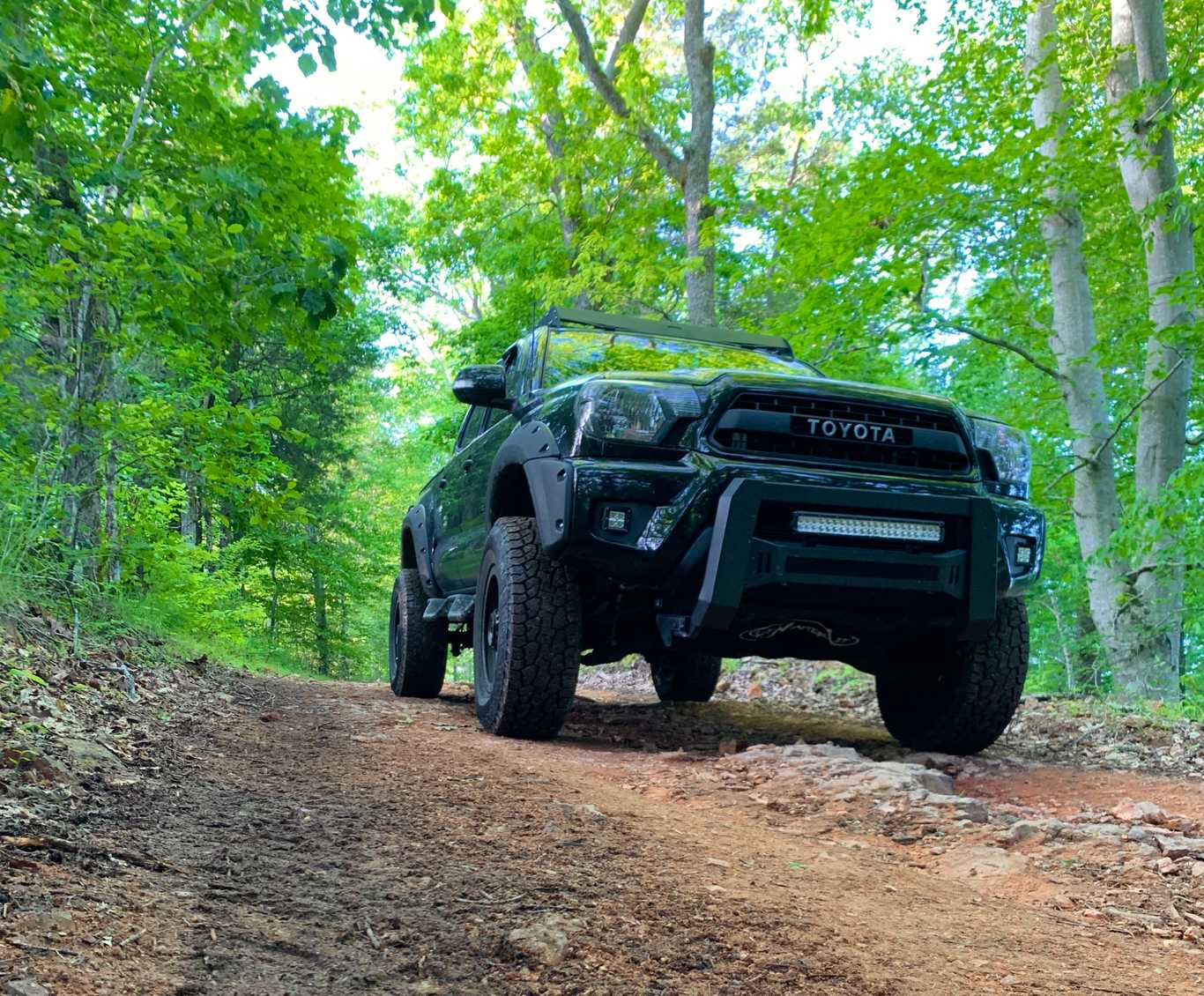 Home | TN Dirt Devil